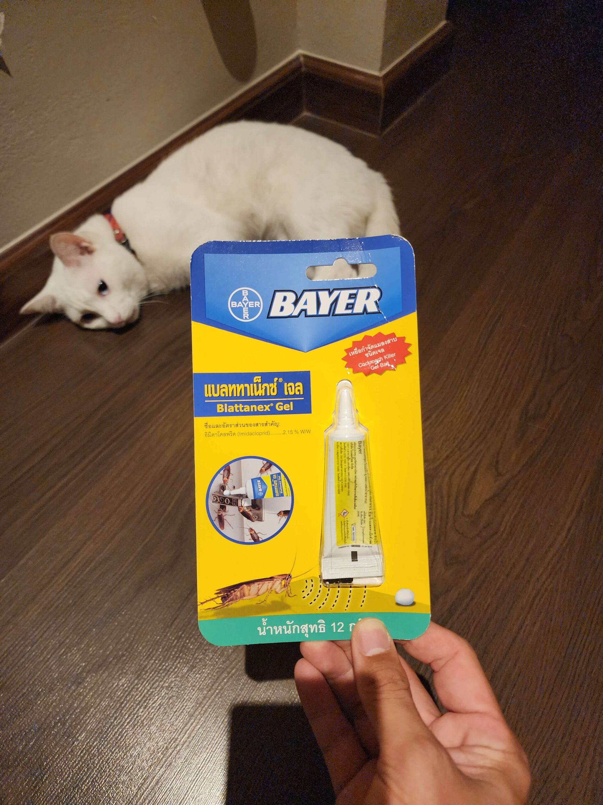 iannnnn.com • Page 2 of 86 • ความจริงมีสองด้าน คือจริงของมึง กับจริงของกู