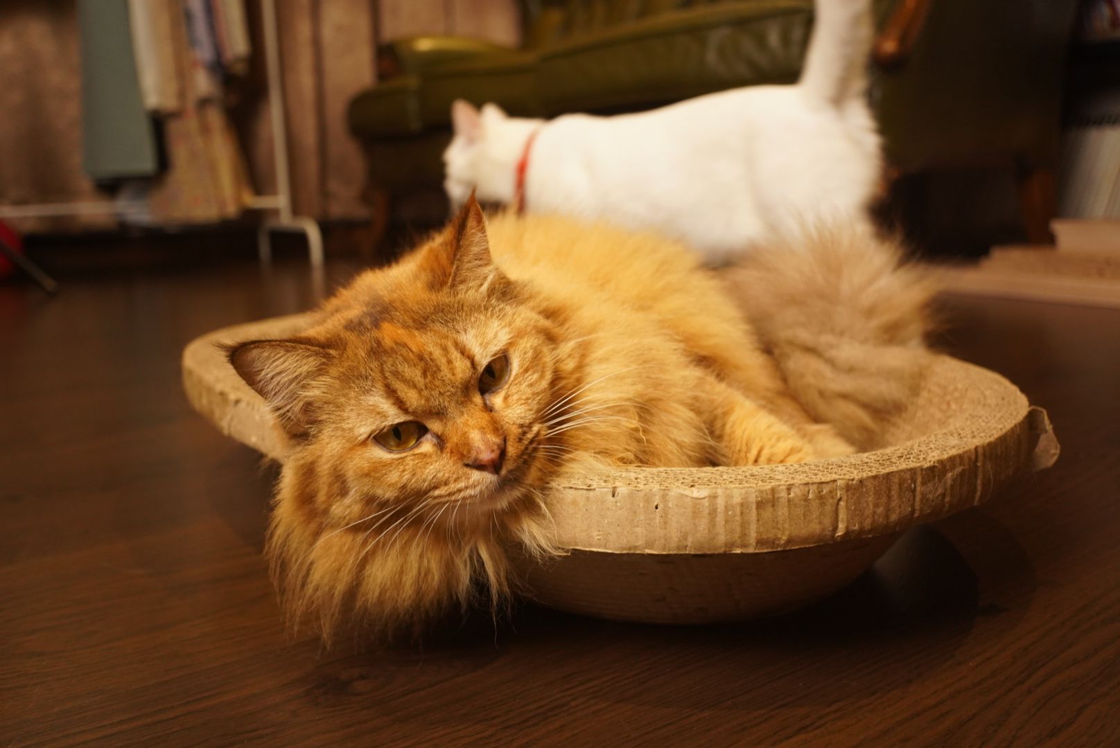 iannnnn.com • Page 2 of 89 • ความจริงมีสองด้าน คือจริงของมึง กับจริงของกู